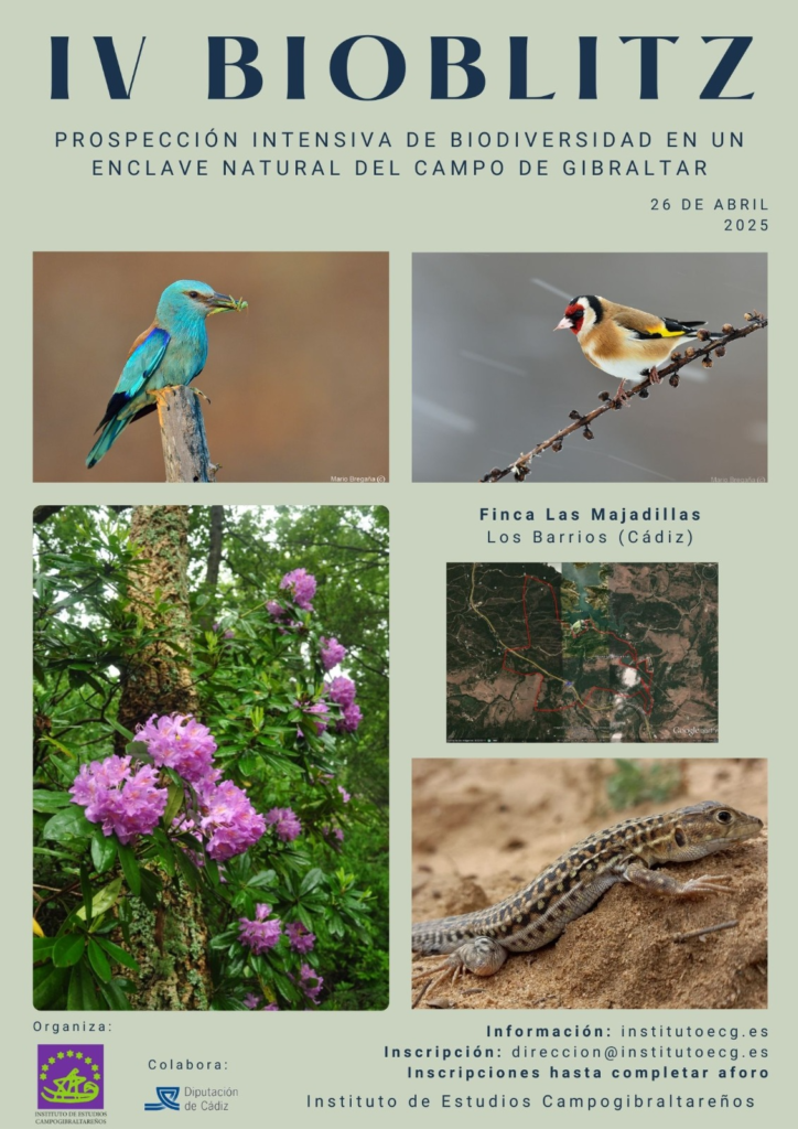 Bioblitz 2025 - Instituto de Estudios Campogibraltareños